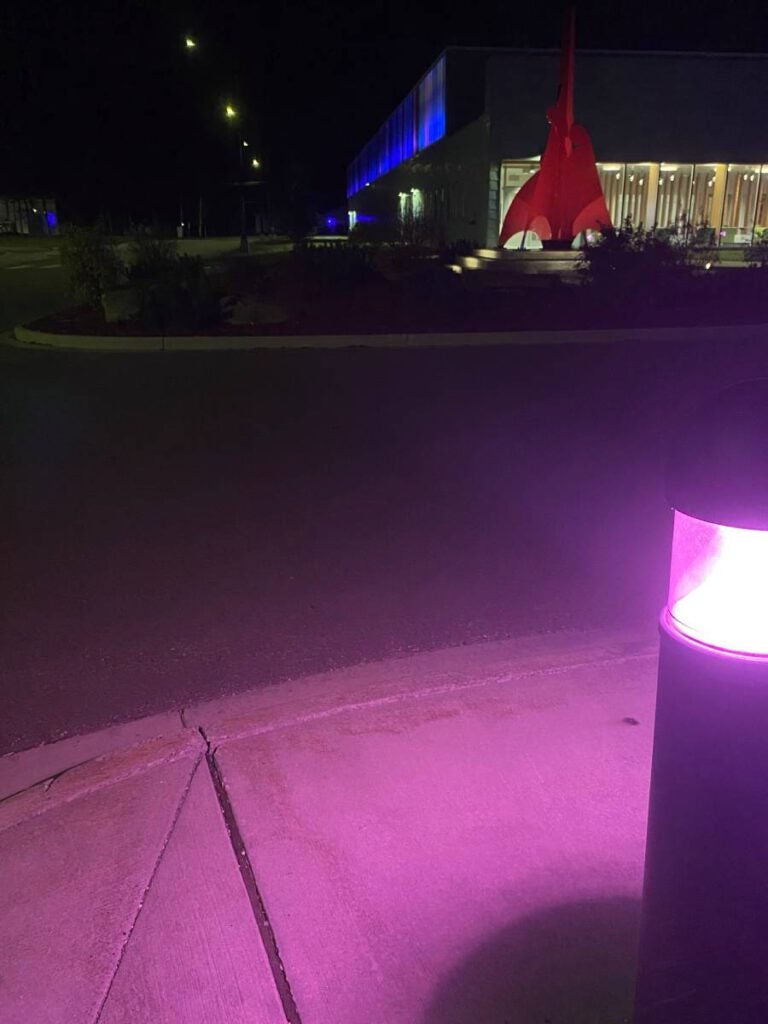 Northern Lights College | purple_campus_1